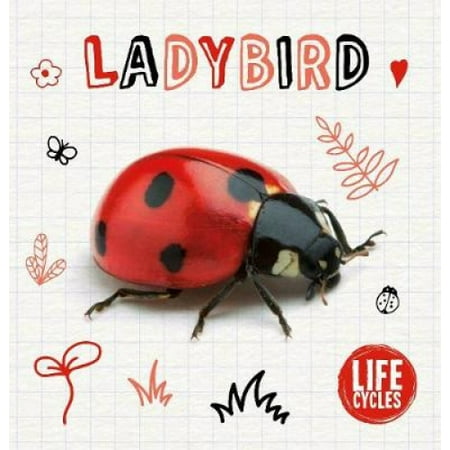 Ladybird (Life Cycles) | Walmart Canada