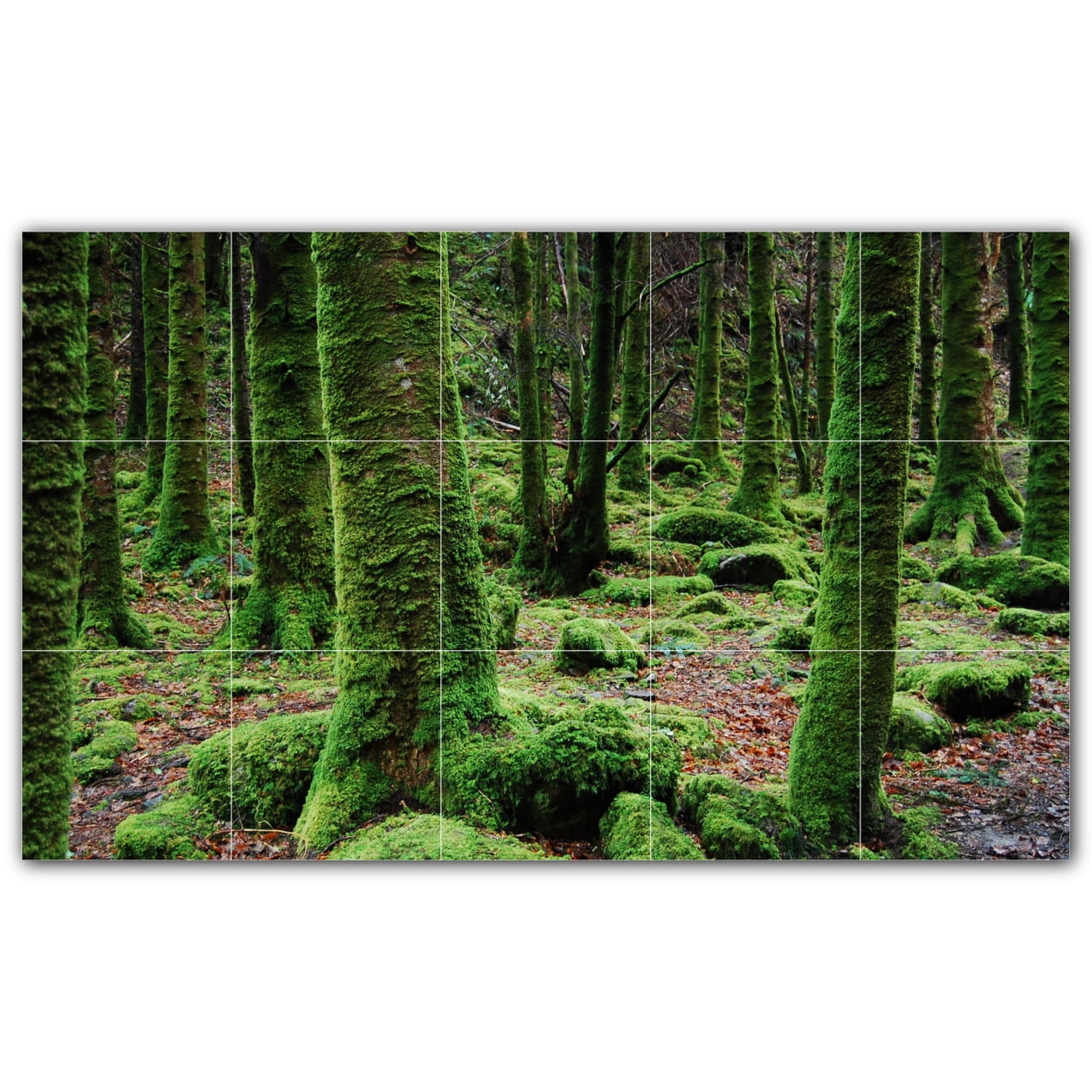 Picture-Tiles.com: Trees Ceramic Tile Wall Mural WAL501028-53XL. 60"W x ...