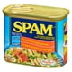 SPAM 20 % Less Fat Fully Cooked Luncheon Meat, 340 g - Walmart.ca