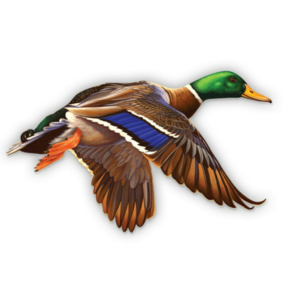 Mallard Duck - 3" Vinyl Sticker - For Car Laptop I-Pad Phone Helmet ...