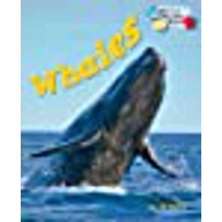 Whales (Reading Stars) | Walmart Canada