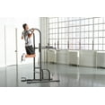 Weider Power Tower with Four Workout Stations and 300 lb. User Capacity ...