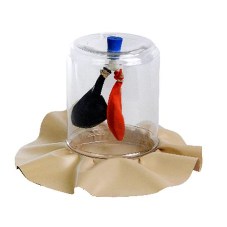 American Educational Lung Demonstration Kit | Walmart Canada