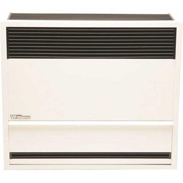 Williams 3003821 30K BTUH AFUE Direct-Vent Propane Gas Gravity Wall ...
