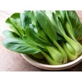 Expert Gardener 4 Pack Bok Choy Toy Choi Edible Vegetable, Pack, Live ...