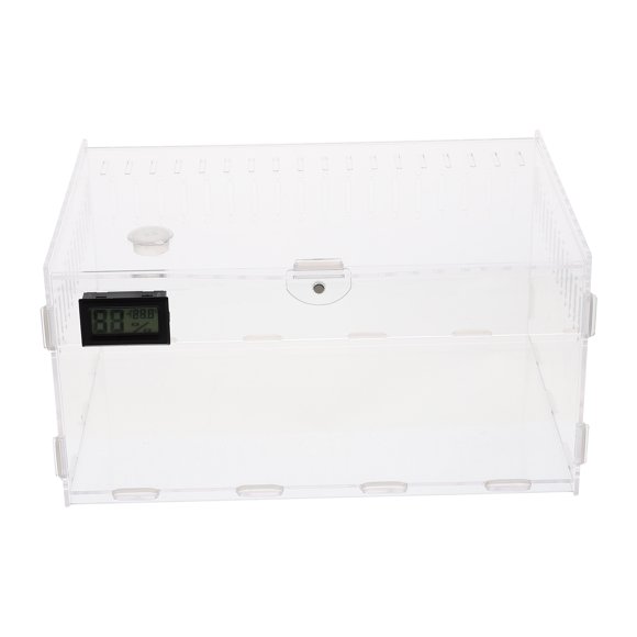 Large Plastic Terrarium