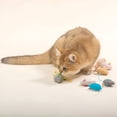 BESTSKY 2026 New Interactive Cat Toy,Realistic Mouse Look Interactive ...
