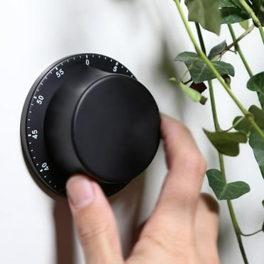 Disney Parks Remy's Ratatouille Adventure Kitchen Timer - Home Figure ...