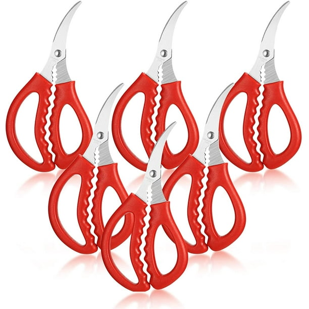 Kitchen seafood scissors multifunctional stainless steel scissors ...