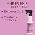 CLEAN DAY All-Purpose Cleaner Spray, Peony, 16 fl. oz - Pack of 3 ...