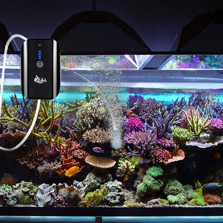 100 Gallon Saltwater Fish Tank
