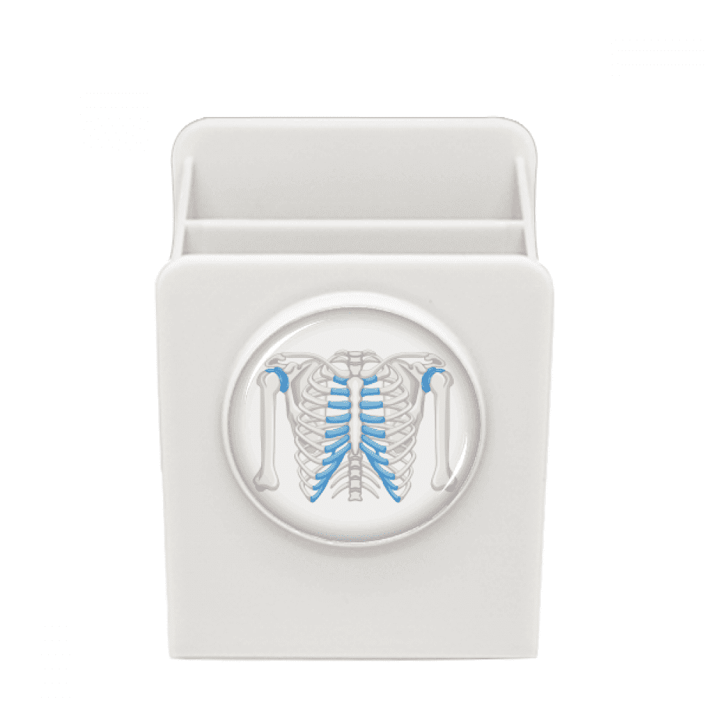 Rib Thoracic Lucky Illustration Desk Pencil Holder Cup Pen Organizer ...