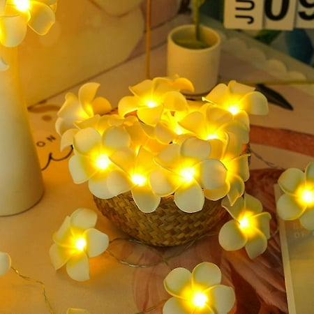 Led Artificial Flower String Lights - Hawaiian Moss Frangipani Flower ...