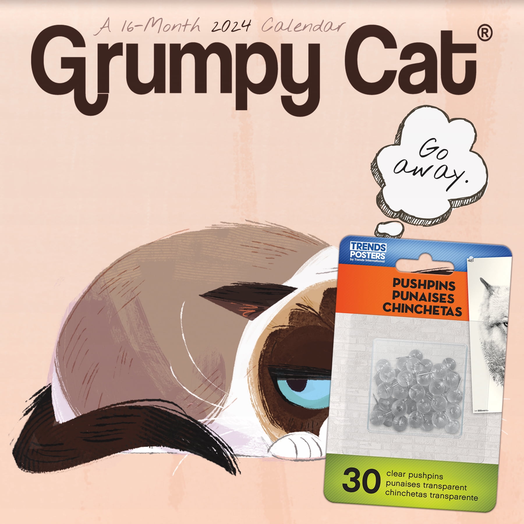 Trends International 2024 Grumpy Cat Mini Wall Calendar & Push Pins & Push Pins - Walmart.com