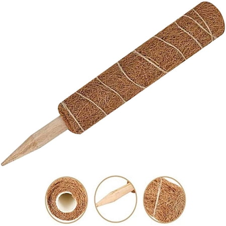 60CM Extendable Coconut Palm Sticks Coconut Palm Sticks 2Pcs Coco Plant ...