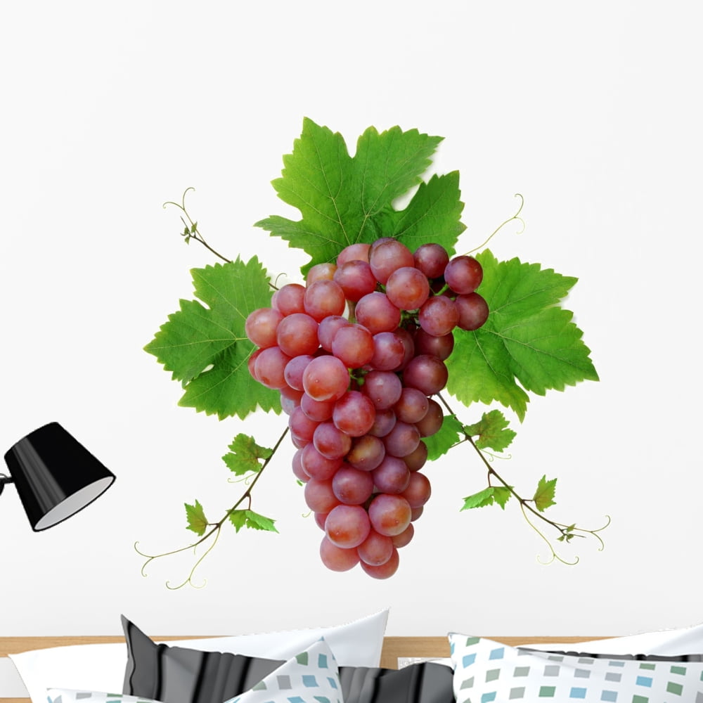 Decorative Pink Wine Grape Wall Decal Sticker, Wallmonkeys Peel & Stick ...