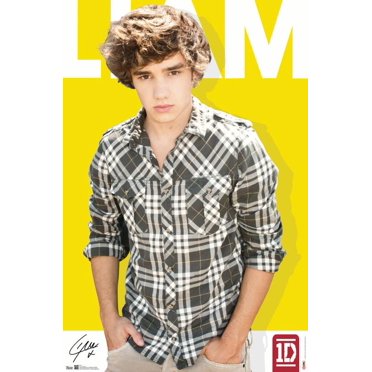 One Direction - Louis Tomlinson Wall Poster, 22.375" x 34" - Walmart.com