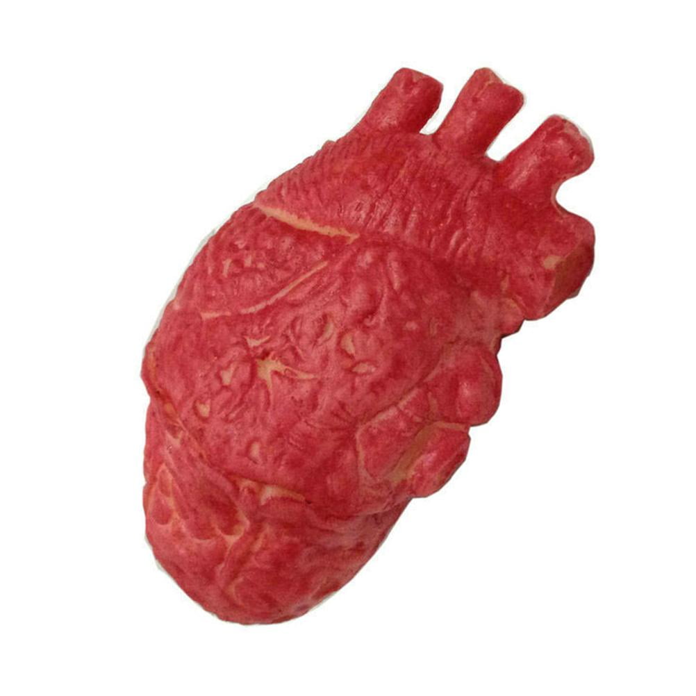 Click here for Estink Human Heart Model Lifelike Human Heart Mode... prices