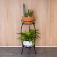 2 Pack Metal Plant Stands, Tall Planter Holder Indoor Outdoor, 2 Tier ...