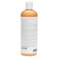 Top Performance Fresh Pet Dog and Cat Conditioner, 17oz - Walmart.com