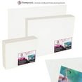 Viewpoint Foam Backing 16x20" 1/8 in Thick 25-Pack, Acid-Free Pre-Cut ...