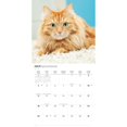 Carousel Calendars, Ginger Cats 2027 Wall Calendar - Walmart.com
