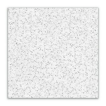 Armstrong Ceiling Tiles; 2x4 Ceiling Tiles - 10 pc White Ceiling Tiles ...