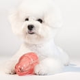 mdesiwst Pet Chew Toy Transparent Jambu Air Shape Built-in Food Leakage ...