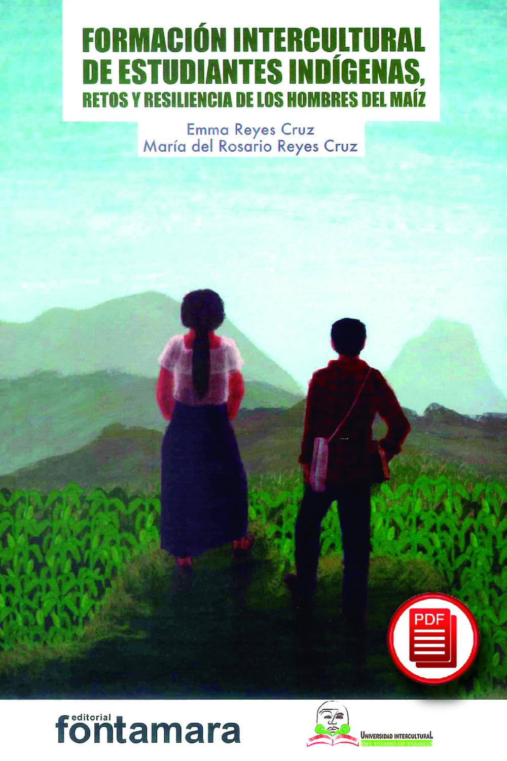 Libro Formacion Intercultural De Estudiantes Indigenas, Retos Y ...