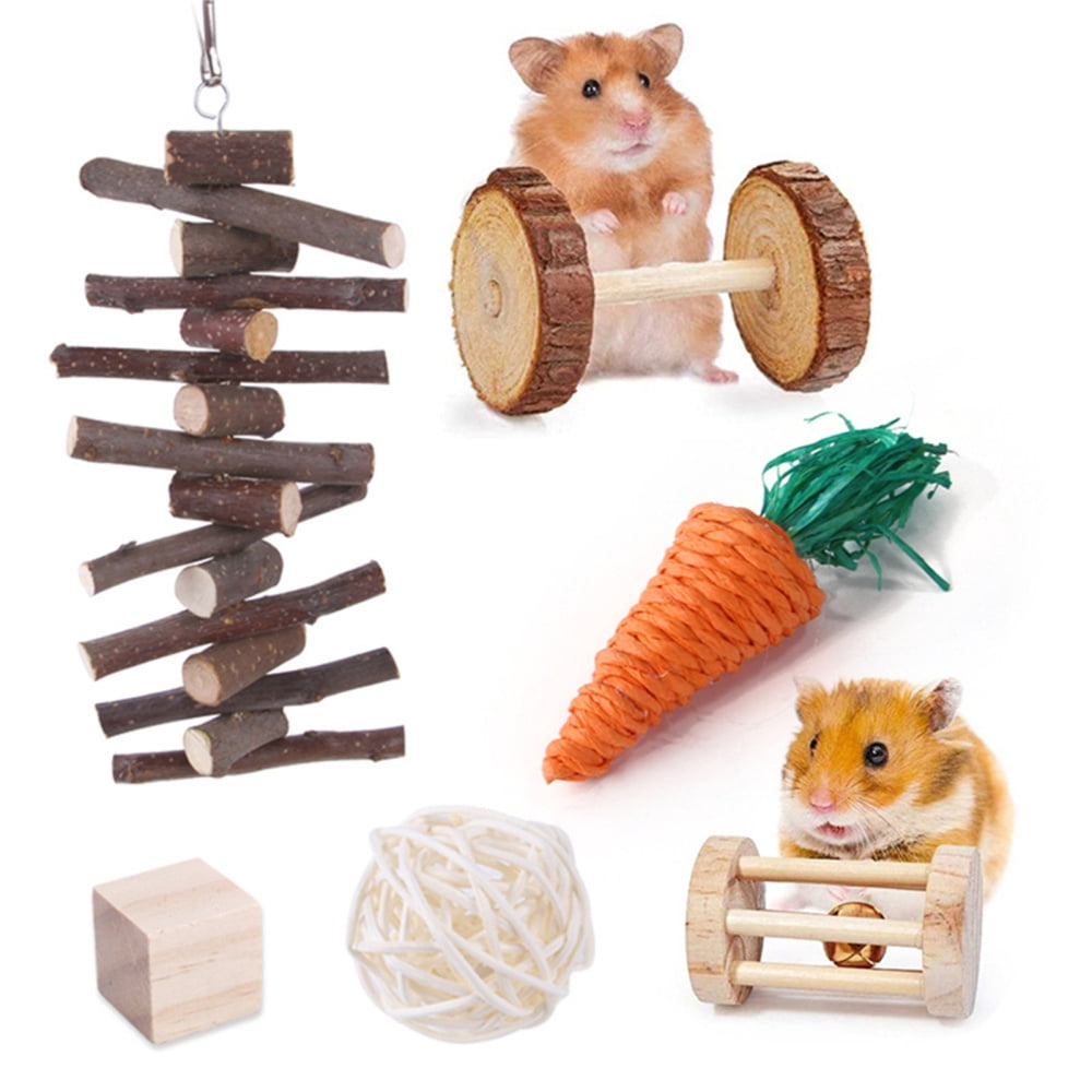 Cool Hamster Accessories