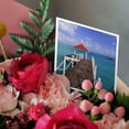3drose, Caribbean, Guadeloupe, Dock and Crystal Blue Water-ca20 Bba0018 ...