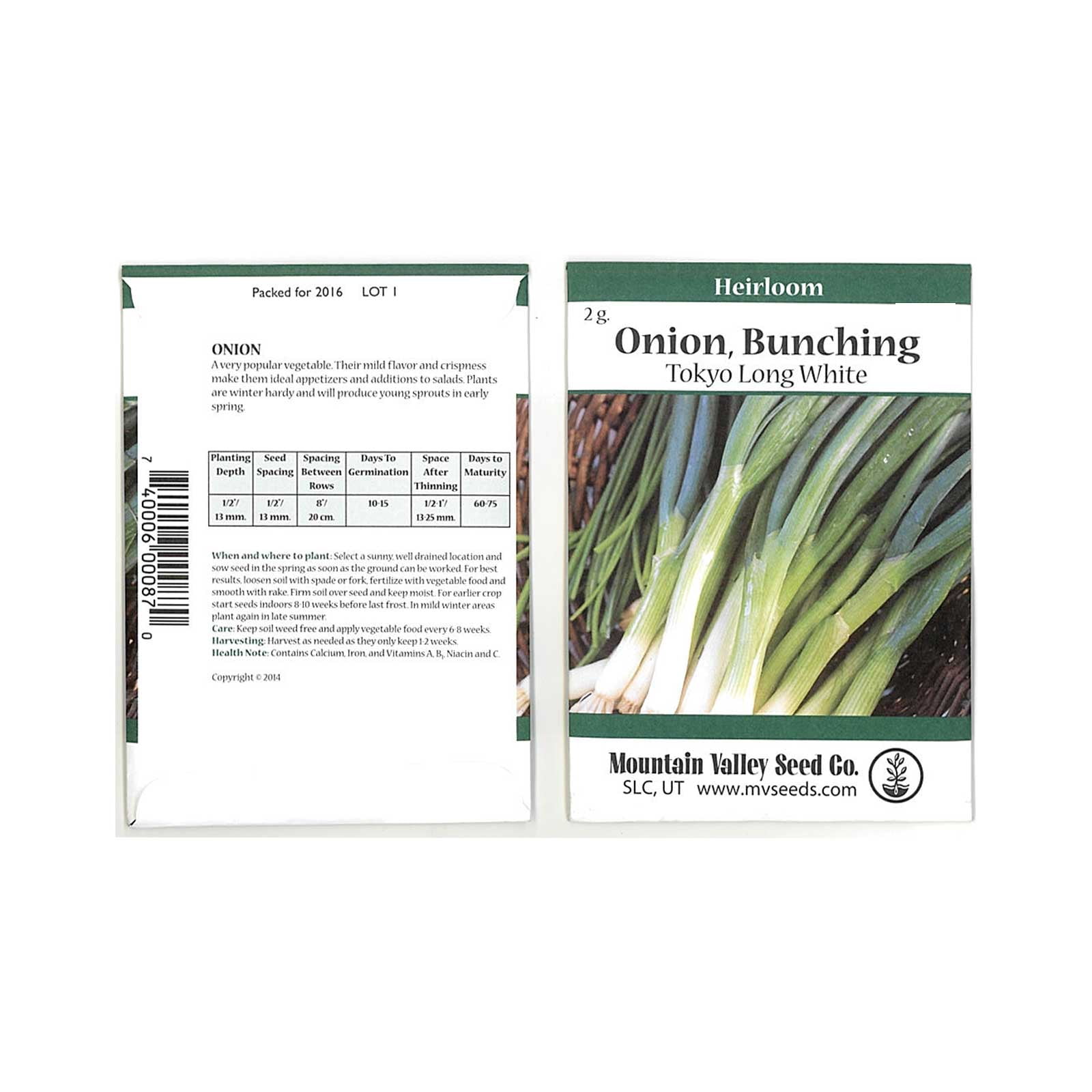 Tokyo Long White Bunching Onion Garden Seeds - 2 Gram Packet - Non-GMO ...
