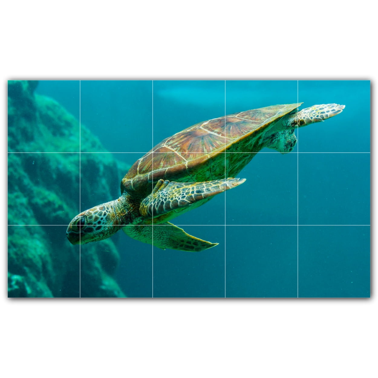 Picture-Tiles.com: Turtle Ceramic Tile Wall Mural WAL501084-53XL. 60"W ...