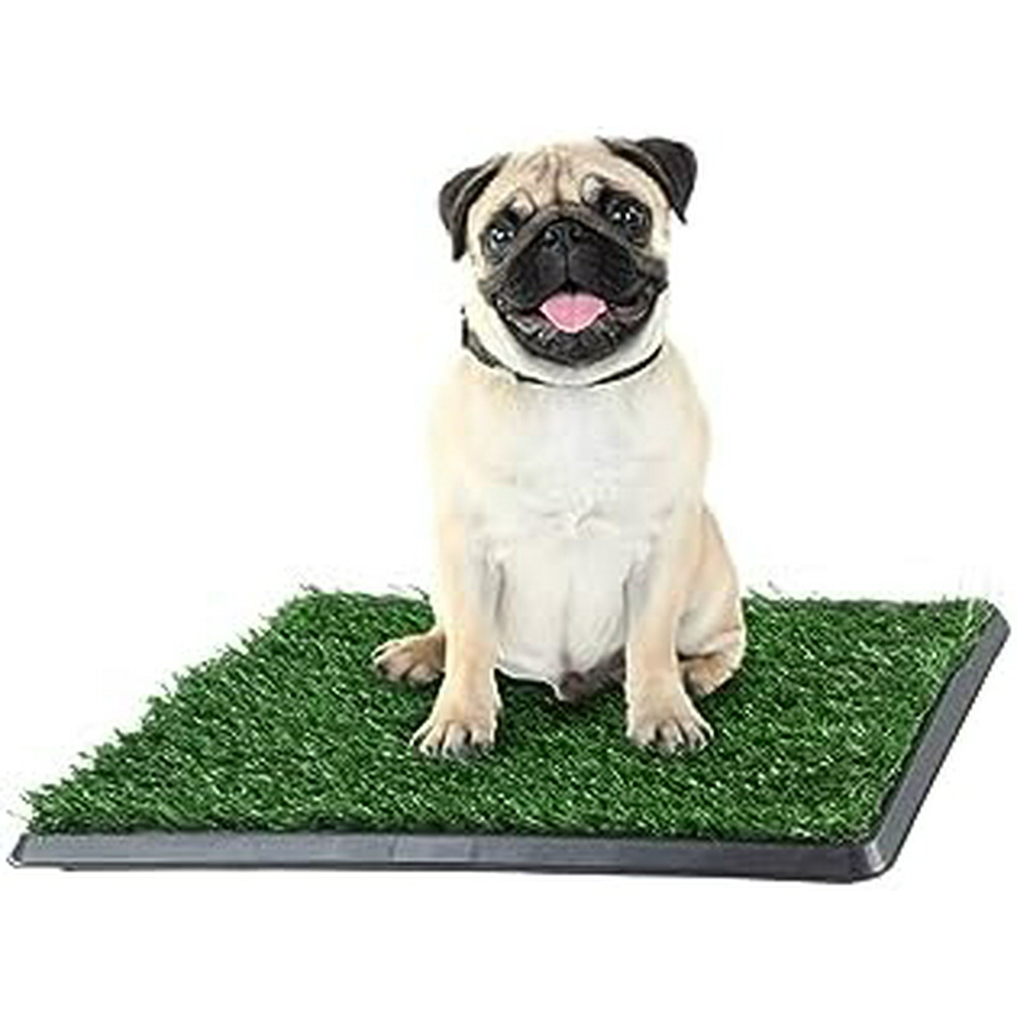 Click here for Chenxiayu Artificial Grass Puppy Pee Pad For Dogs... prices