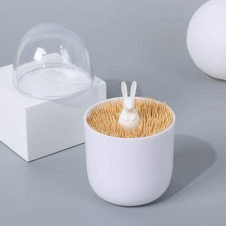 1 Pack Empty Four Season Plant Toothpick Box/Animal Cotton Swab Box ...