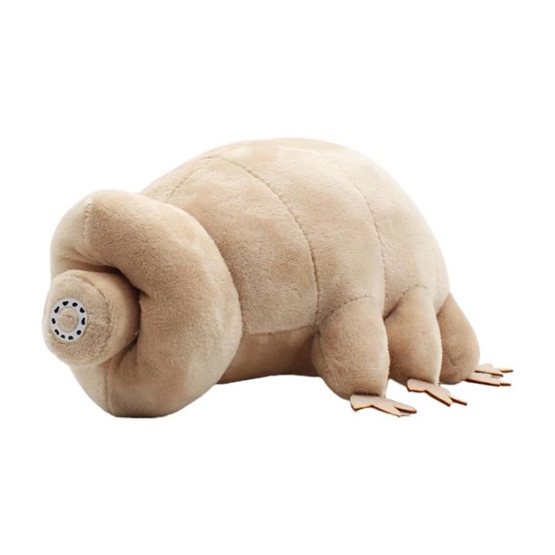 Ustyle Cute Water Bear Plush Toy Companion And Decorative Piece For Any ...