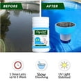 2026 Pool Chlorine Floater with Solar RGB Light 6inch 1200mAh ...
