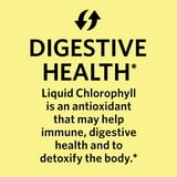 Spring Valley Fast Acting Chlorophyll Digestive Health Dietary ...