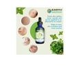 Earth Elements Organics Organic Chickweed Oil Raw, Infused, Herbal Oil ...