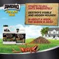 Amdro Fire Ant Bait Granules, 1 Pound, Kills Fire Ant Colonies, Outdoor ...