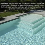 Dicalite Minerals High-Grade Diatomaceous Earth Pool Filter D.E ...