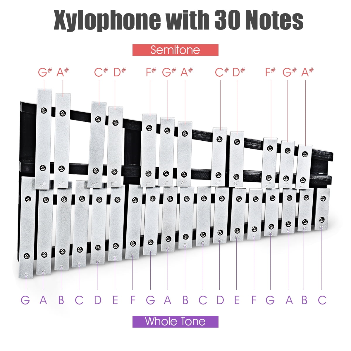 Xylophone Notes