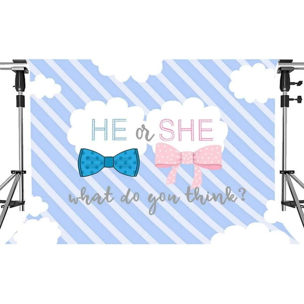 Gender Reveal Backdrop for Gender Reveal Party Supplies MEETSIOY Gender ...
