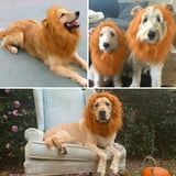 Halloween Lion Mane Wig Costume - Make Your Dog Lion King - Adjustable ...