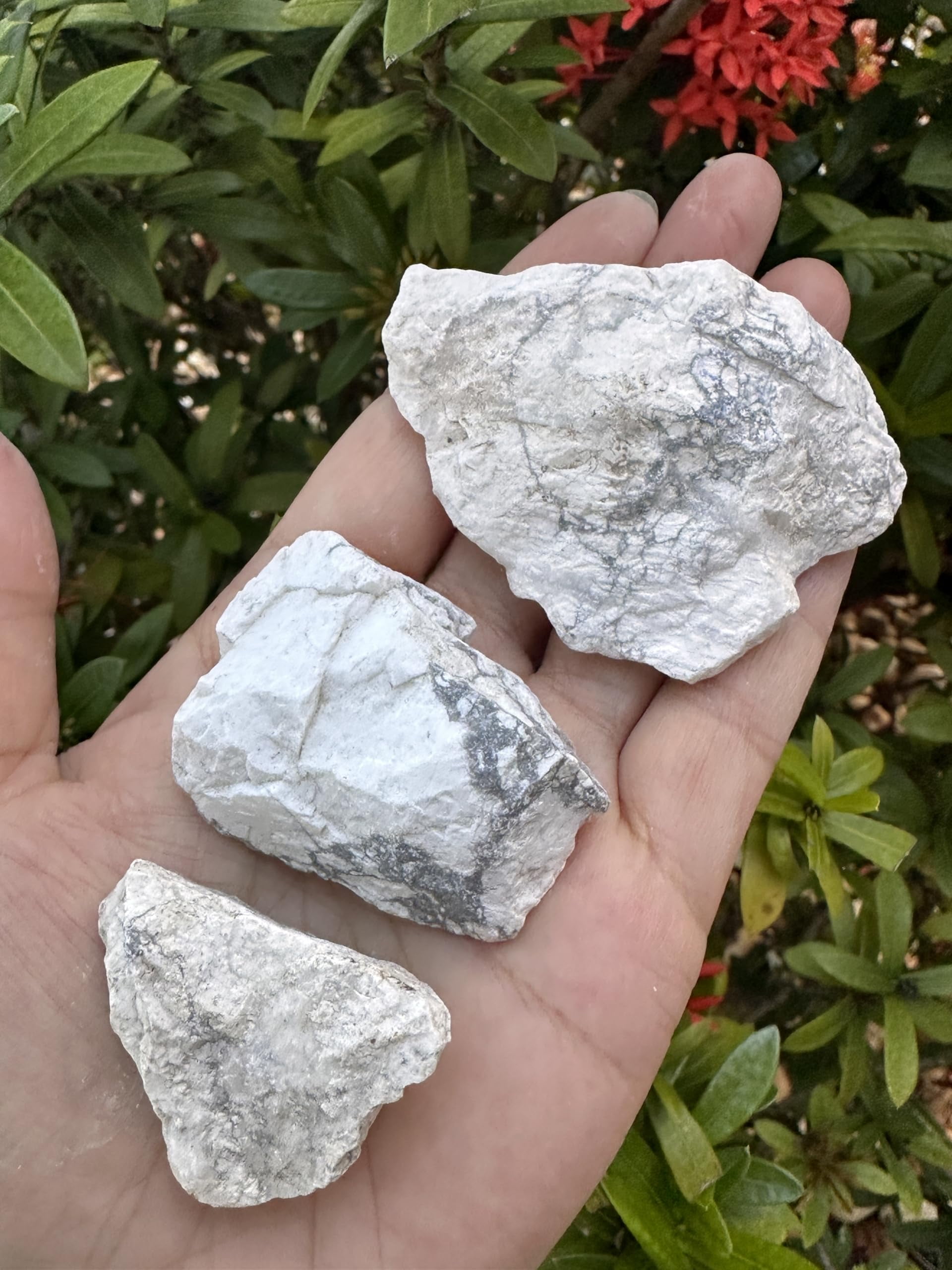 5 LB Lot Raw White Howlite Crystals, Natural White Australia | Ubuy