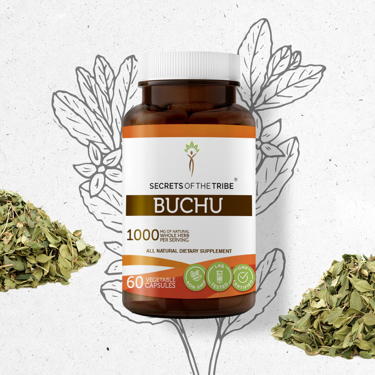 Secrets of the Tribe Buchu 60 Capsules, 500 mg, Organic Buchu ...