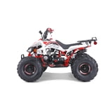 "Tao Motor G125 Kids ATV, 107CC Gas 4-Stroke Engine, 8"" Wheels and ...