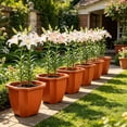 Octagonal Imitation Ceramic Thickened Flower Pot, Horticultural Flower ...