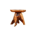 CintBllTer Tree Stump Side Table Natural Edge Cedar Real Wood End Table ...