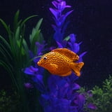 Tebru Aquarium Fish Tank Silicone Artificial Fish, Luminous Floating ...